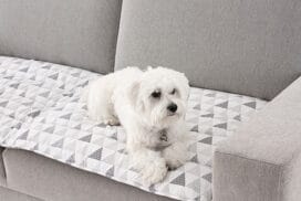 Bankhoezen kopen – stijlvol, beschermend en direct leverbaar